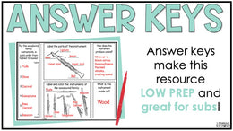 Woodwind Family Foldable Activity - Musical Instrument Families of the ...